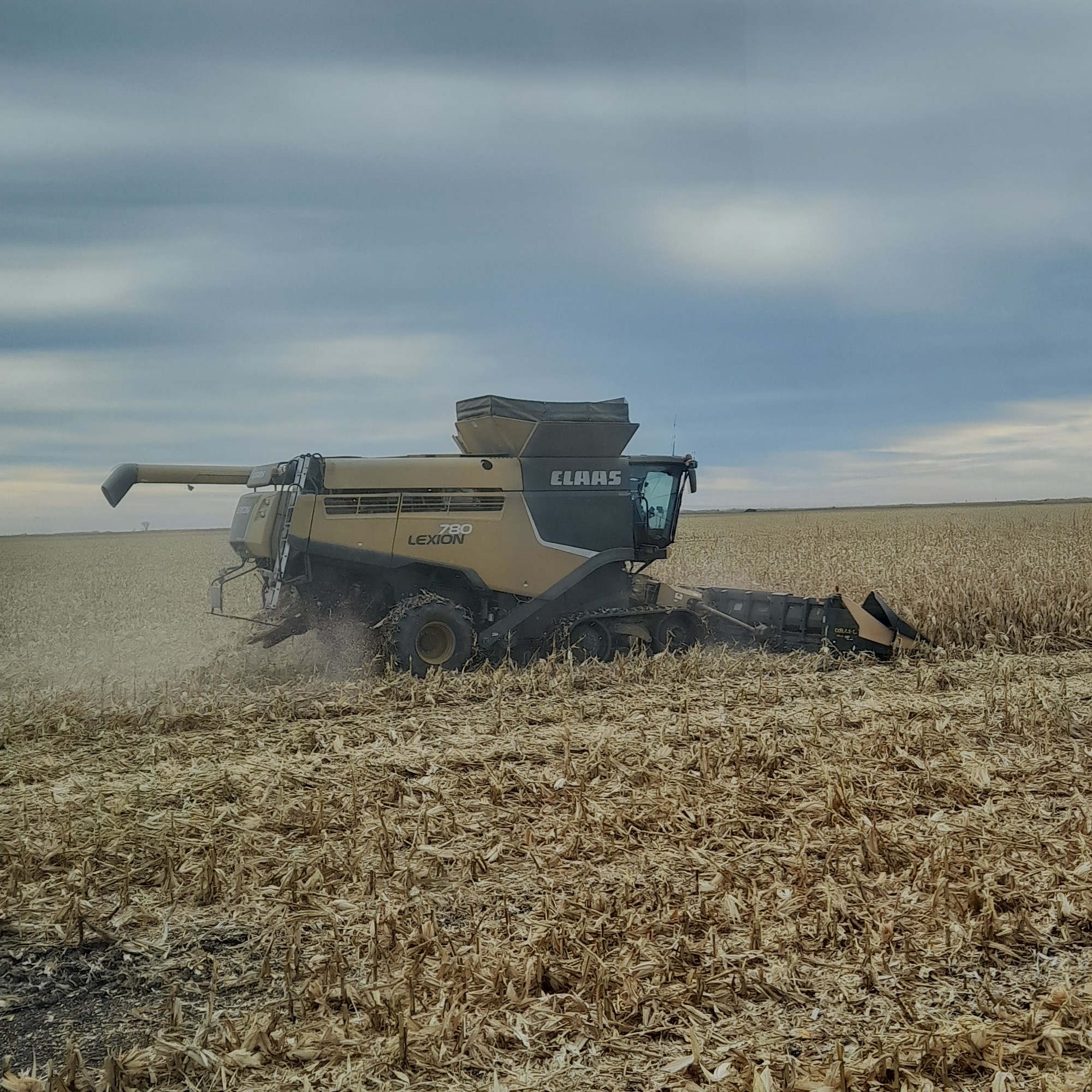 Farming Division